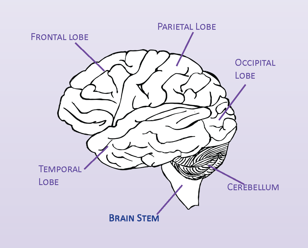 Medical Information - The Childhood Brain Tumor Foundation